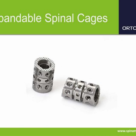 Spinamer | Spinal Corpectomy Cages