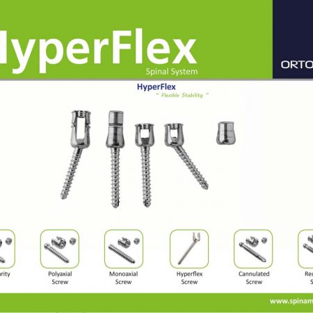 Spinamer | Monopoly Spinal System